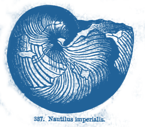 Toba Capital